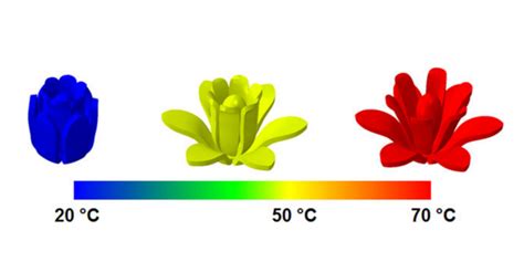 4d Printing A Shape Memory Polymer