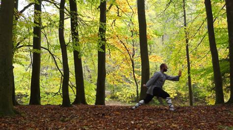 Shaolin Lian Huan Quan 少林连环拳 Youtube