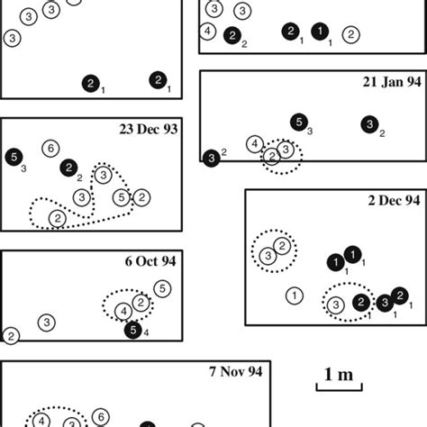 A Frequency Distribution Of The Numerical Sex Ratio Female Female Download Scientific