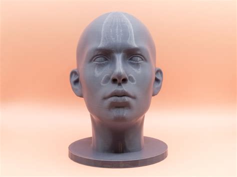 Realistic Female Head Bust — Human Anatomy Reference Figure For Artists Etsy