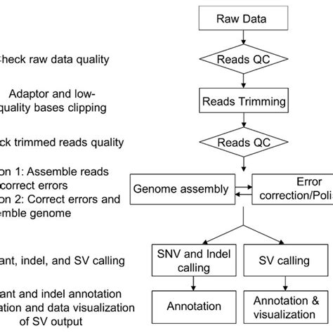 Overview Of Bioinformatics Workflow For A Ngs And B Tgs Requiring Download Scientific