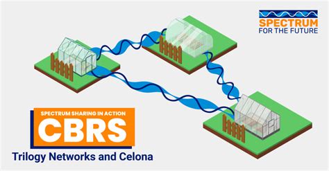 Dynamic Spectrum Sharing In Action Spectrum For The Future