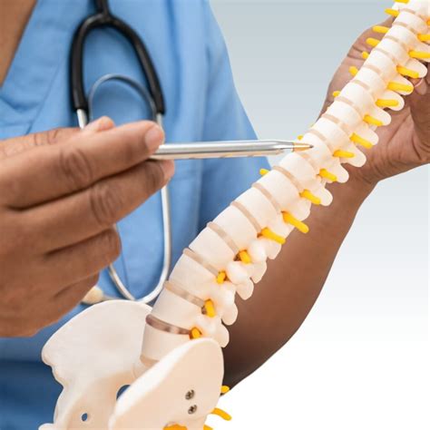 Home Dr Sumit Vishwakarma Ayurvedic Spine And Ortho Care Center Thane