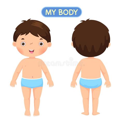 可爱的男孩身体部位 向量例证 插画 包括有 幼稚园 少许 前面 标签 艺术 绘制 动画片 176463474
