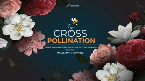 Cross Pollination Mastermind Masterclass