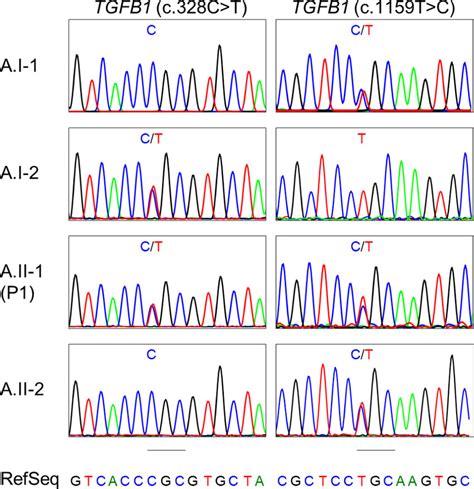Dna Chromatogram