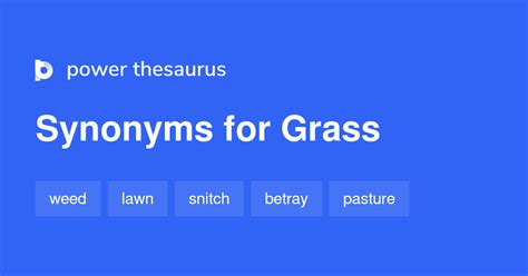 Grass Synonyms 1 410 Similar Words And Phrases