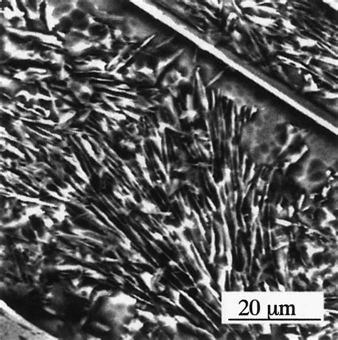 Morphology Of Silicon In Eutectic Region Of Droplet With Solidification