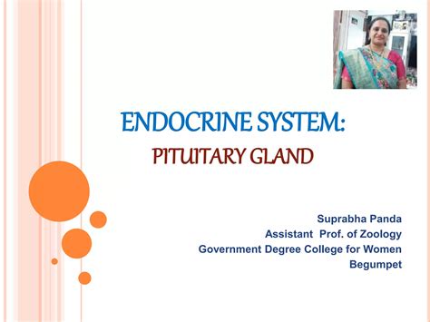 Endocrine System Pituitary Gland Pptx