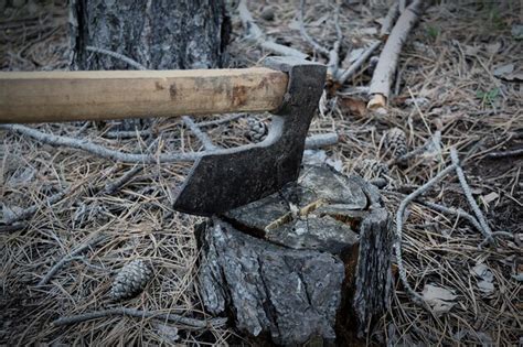 Premium Photo Axe On Tree Stump In Forest