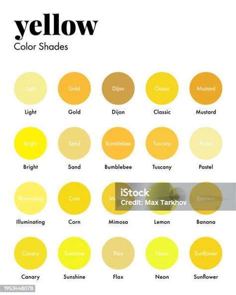 Yellow Color Shades Swatches Palette With Names Stock Illustration