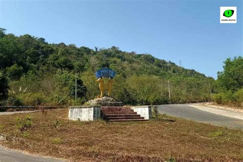 သင်္ကြန်အတွင်း မောင်းမကန်လမ်းတွင် ယာဉ်တိုက်မှုဖြစ်ပြီး အမျိုးသားတစ်ဦးပြင်းထန်ဒဏ်ရာရ Dawei Watch