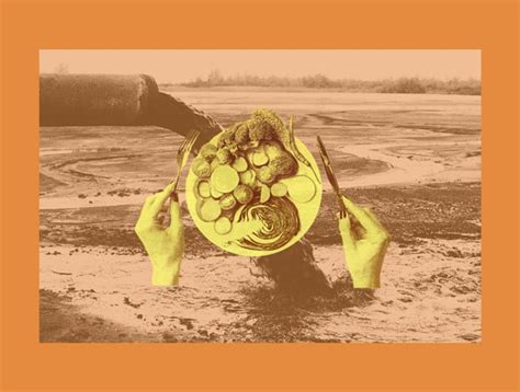 How Sewage Sludge Carries Toxic Pfas From Toilet To Table