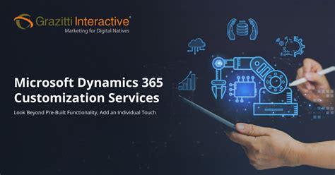 Microsoft Dynamics 365 Customization Services
