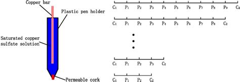 Structure Diagram Of Custom Made Cu Cuso4 Non Polarizable Electrode Download Scientific Diagram