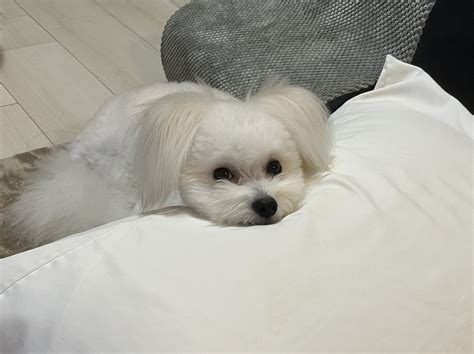 Blog 伊達朱里紗オフィシャルサイト