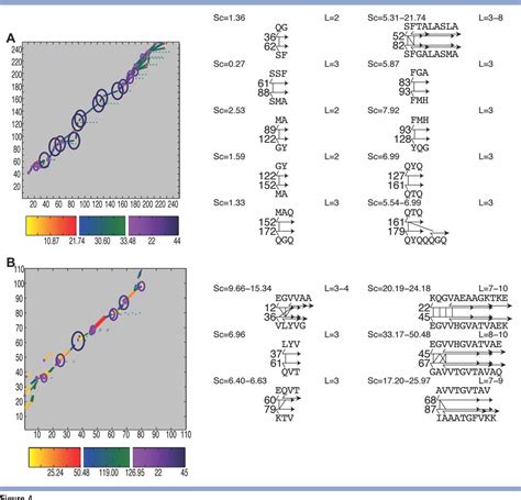 Figure 4 From Proteins Structure O Function O Bioinformatics Semantic