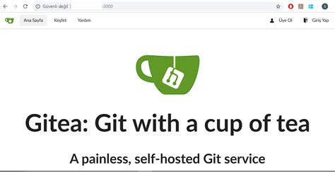 Step By Step Guide To Gitea Installation By Sıddık Açıl Medium