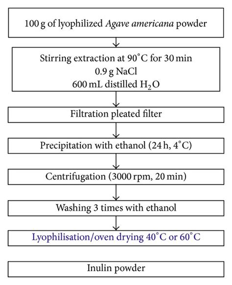Extraction Diagram Of Inulin From Agave Americana L Download Scientific Diagram