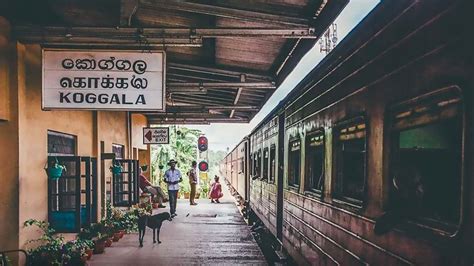 අසනීප යැයි පවසා කොග්ගලදී දුම්රිය නවතා දමා ගිය රියැදුරුගේ සේවය අත්හිටුවයි