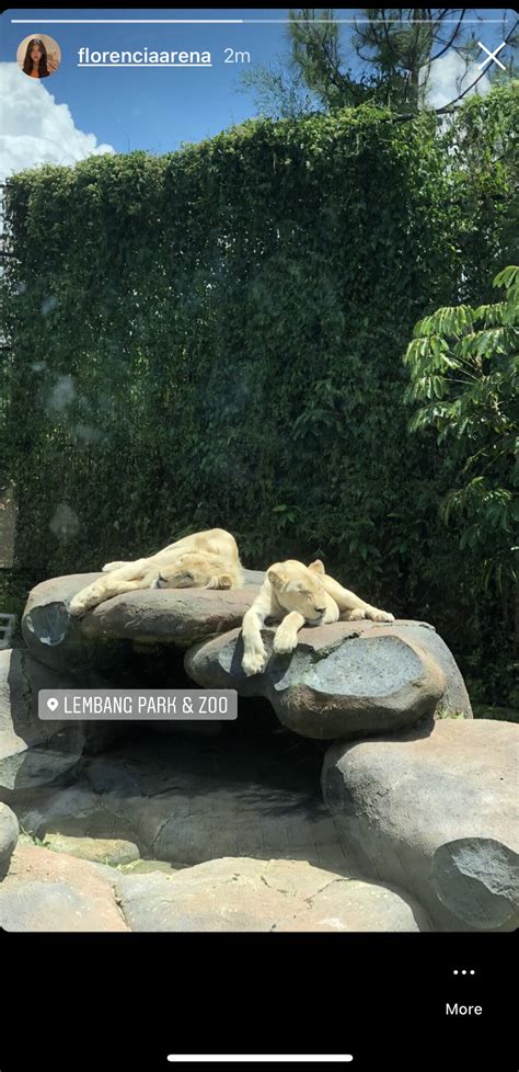 Re On Twitter Https T Co I Old Hfch Twitter