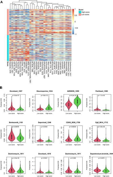 Frontiers Immune Related Gene Based Model Predicts The Survival Of Colorectal Carcinoma And
