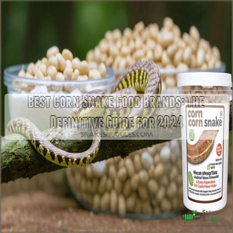Best Corn Snake Food Brands The Definitive Guide For 2024