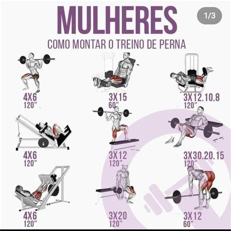 Treino De Perna Em 2025 Treino De Perna Treino Para Pernas E Glúteos