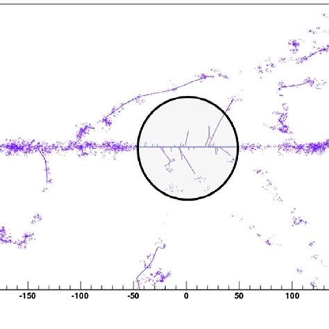 Geant4 Dna Simulation Of A 40 Mev Proton Pencil Beam Incident On A