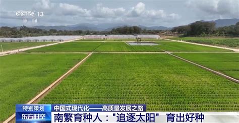 端牢粮食能源两个饭碗 让高质量发展更坚韧 光明网