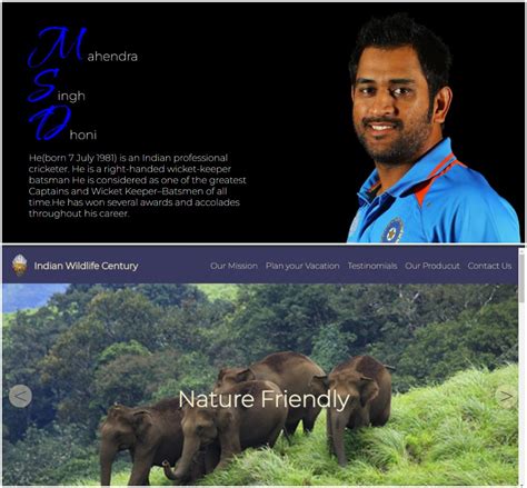 હેકાથોન 2022ની વેબડિઝાઈન કોમ્પિટિશનમાં 16 વર્ષીય સત્યજીત ચૌધરી વિજેતા