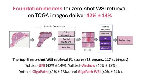 Ai Pathology Histopathology Deeplearning Foundationmodels Image Search Retrieval H R