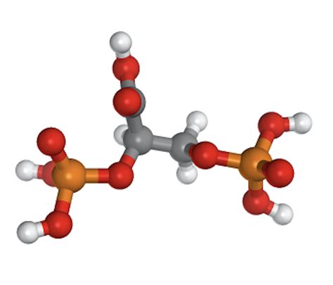 Oxygen Dissociation Curve Archives Dssurgery