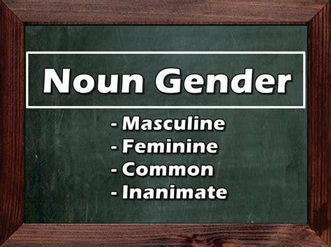 NOUN GENDER 4 Classifications Their Definitions Examples