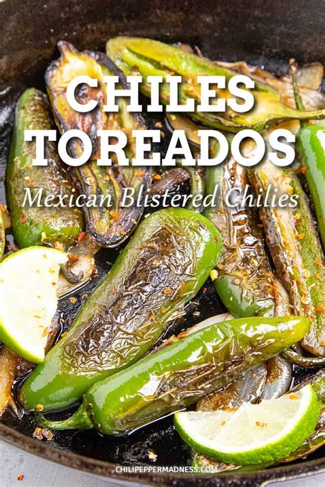 Chiles Toreados Recipe Mexican Blistered Peppers Chili Pepper Madness