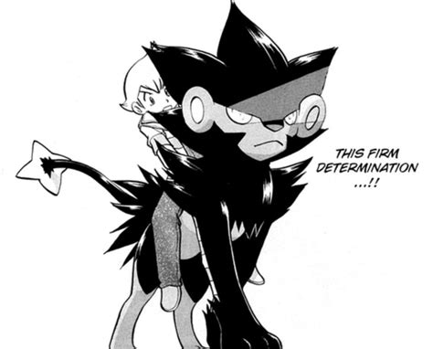 Pin By Maria Antonieta On Pokemon Pokemon Shinx Pokemon Manga Pokemon Pictures