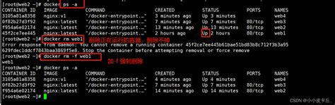 Docker的基本操作 Csdn博客