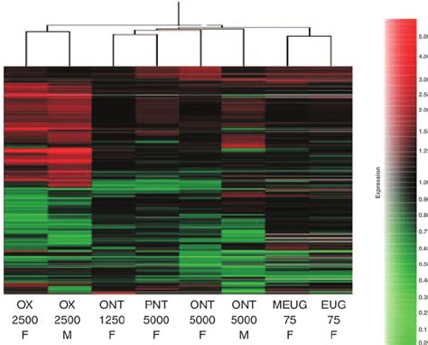 Clustering Of 421 Signature Genes From Oligonucleotide Microarray Data Download Scientific
