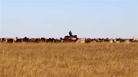 Дорнод үйлдвэрлэл технологийн парк Home