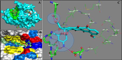 Dr Anshuman Dixit Institute Of Life Sciences Bbsr Department Of Biotechnology