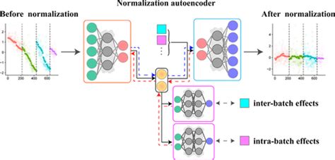 Normae Deep Adversarial Learning Model To Remove Batch Effects In