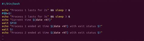 Bash Wait Command With Examples