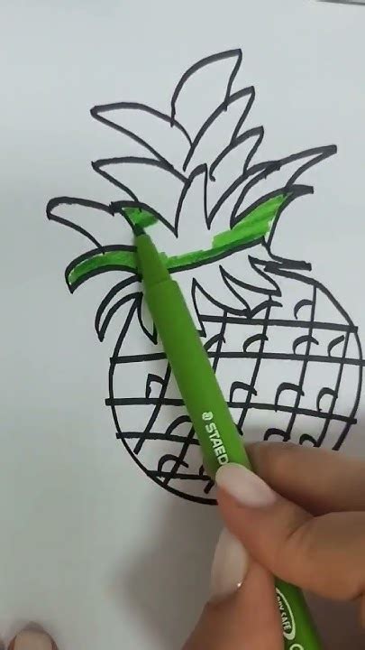 Drawing A Pineapple 파인애플 그리기 Drawing Drawingideas Easydrawing 쉬운그림 Youtube
