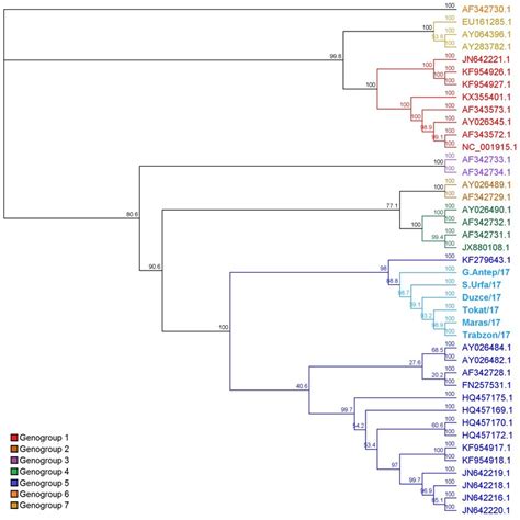 Phylogenetic Tree Of Ipnv Based On Vp2 Gene Sequence Tree Was Built