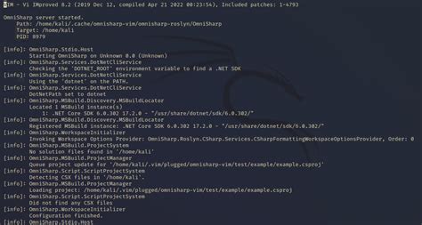 Unable To Get Documentation To Work · Issue 797 · Omnisharpomnisharp