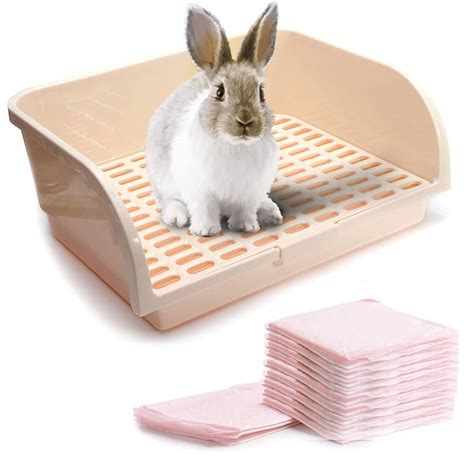 Rabbit Litter Box Top 3 Litter Boxes That Make House Training A Breeze