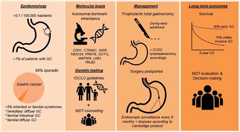 Jpm Free Full Text Hereditary Diffuse Gastric Cancer A 2022 Update