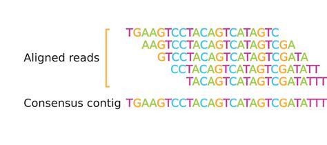 What Are SAM BAM Files ZYMO RESEARCH