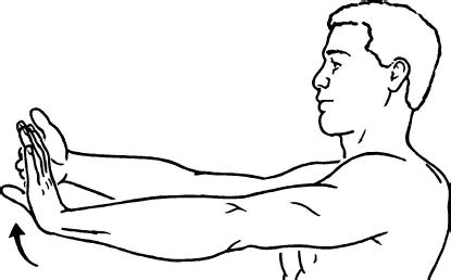 12 Top Mobility Exercises To Do Every Day Physical Therapy