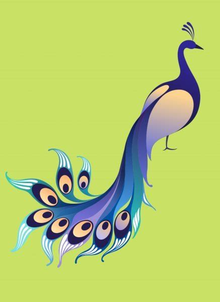 Peacock Drawing Art Drawing Chris Mokoena